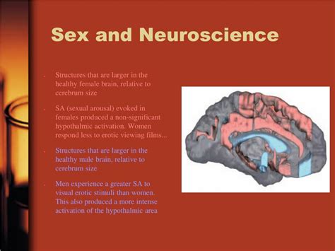 PPT Structure PowerPoint Presentation Free Download ID 5755190