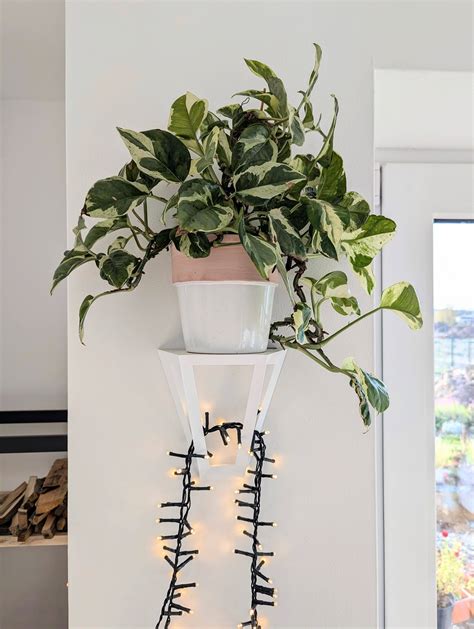 Wireframe Shelf By Tiskosaurus Download Free Stl Model