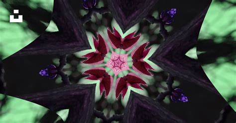 만화경 꽃은 대칭적인 아름다움을 보여줍니다 사진 Unsplash의 무료 꽃 이미지