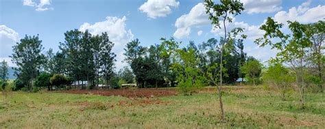 50x100 Plot For Sale In Makuyu 250k