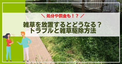 雑草が木になる前に！アカメガシワの駆除方法を解説 Kusakaroo｜くさかるー