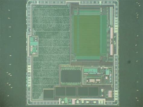 Sample After Selective Chemical Etching Download Scientific Diagram