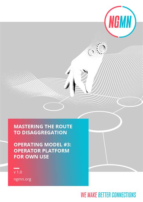 Operating Model 3 Operator Platform For Own Use Ngmn