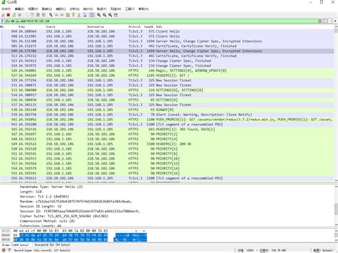 解密tls协议全记录之利用wireshark解密 tls解密 csdn博客