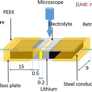 Configuration Of The Visualization Cell Download Scientific Diagram