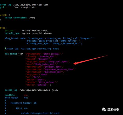 Centos Nginx Ip