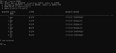 Sqlplus 사용하기