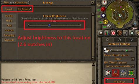 Topic Runelite Initial Setup Instruction Guide SammichsScripts