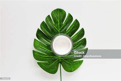 천연 유기농 화장품으로 평평하게 누워 녹색 잎흰색 배경에 크림 스킨 케어 미용 피부과 개념 뷰티 인증서 블로그 스타일 탑 뷰 모형 오버헤드 0명에 대한 스톡 사진 및 기타