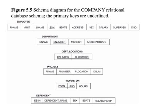 the relational data model and relational database constraints ppt download