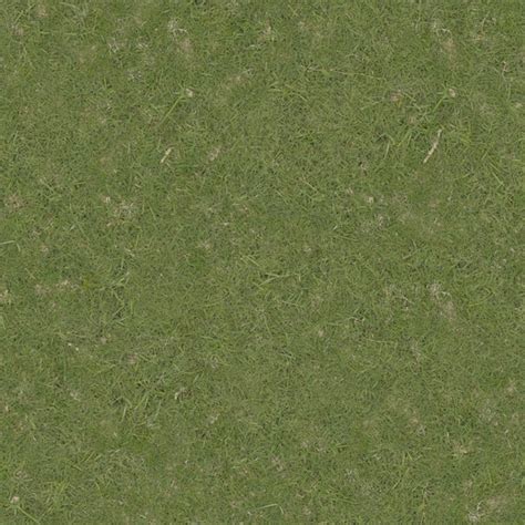 Grass Texture 3d Model Free
