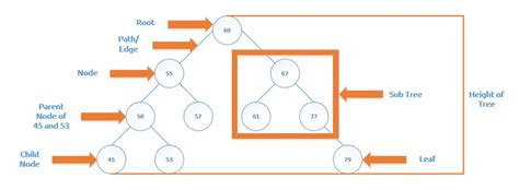 Tugrul Aslan On Linkedin Binarytree Datastructures