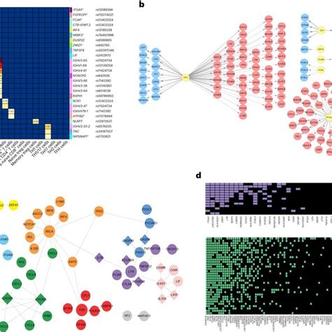 Global Pathway Cell Type And Tissue Enrichment Analyses A Kegg