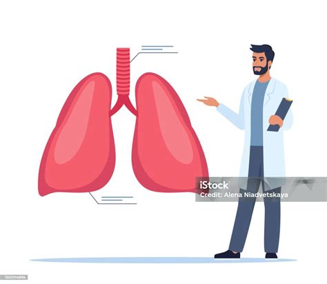 의사가 해부학에 대한 교육 강의를 합니다 인간의 폐 인포그래픽을 제시하는 의사 의료 세미나 강의 의료 회의 개념 벡터 그림입니다 건강관리와 의술에 대한 스톡 벡터 아트 및