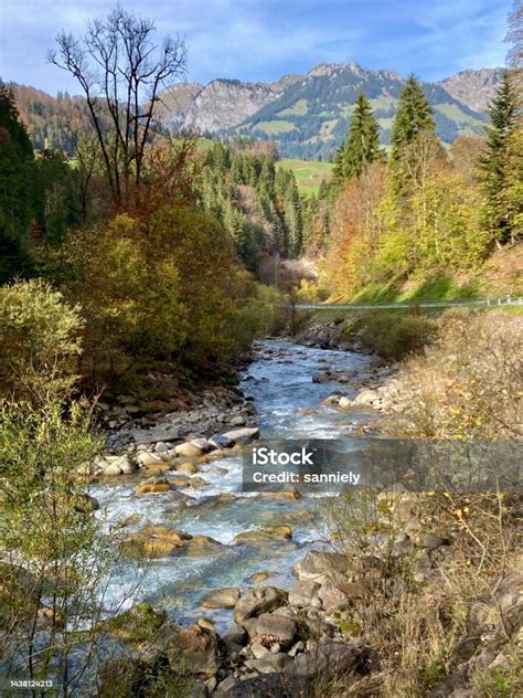 Swiss Canton Of Bern Diemtigen Street And Forest Un Autumn In The