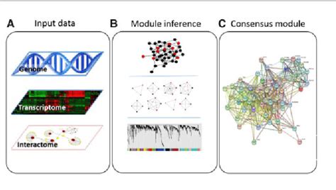 Figure 1 From Modifier An Ensemble R Package For Inference Of Disease