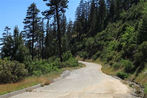 Kaiser Pass Pacific Bulb Society