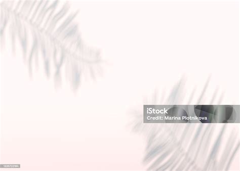 벽에 그림자 손바닥 잎의 추상적 인 배경 3d 렌더링 광학 작용에 대한 스톡 사진 및 기타 이미지 광학 작용 그림자 나무 Istock