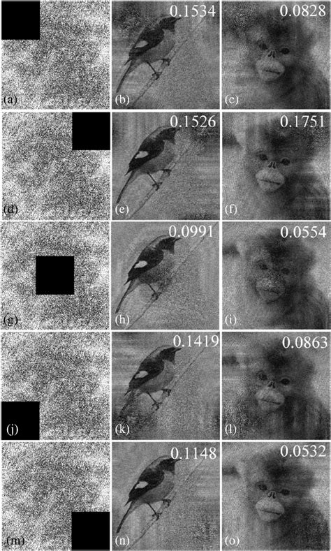 Robustness Against Occlusion Attack Ciphertexts With A 12 5 Occlusion Download Scientific