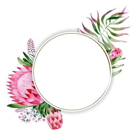 프로테아가 있는 골드 프레임에 손으로 그린 수채화 프리미엄 벡터