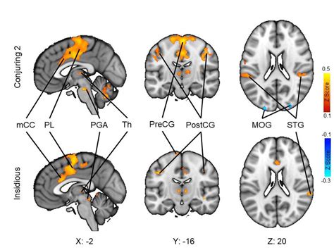 Fear Dependent Dynamic Inter Subject Neural Synchronization For The