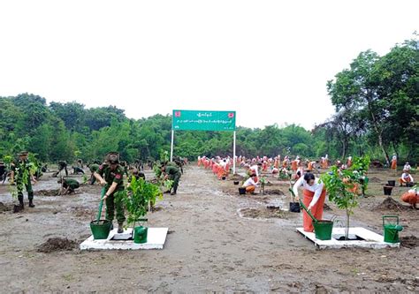 ကာကွယ်ရေးဦးစီးချုပ်ရုံး ကြည်း၊ ရေ၊ လေ မိသားစုများ၏ ၂၀၂၃ ခုနှစ် ဒုတိယအကြိမ် မိုးရာသီသစ်ပင်စိုက်ပ