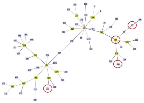 minimum spanning tree of sequence types st of 65 a pittii