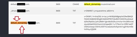 Error Zone File Invalid During Addition Of Record Mutant Mail