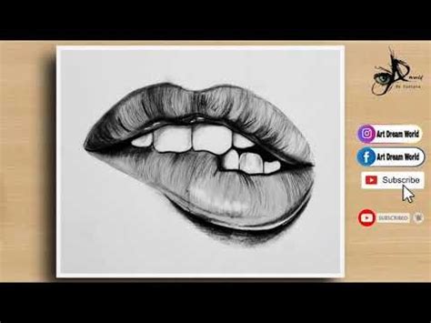 How To Draw Realistic Lips Pencil Drawing For Begginers Tutorial Step