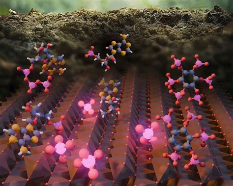 New Research Finds A Missing Piece Of Earths Puzzling Phosphorus Cycle