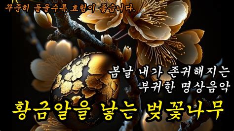 5분만 들어라🌸🌸황금벚꽃처럼🌸🌸 🍀🍀내인생 활짝 핀다🍀🍀 💰💰백년대길💰💰 ⚡⚡차크라⚡⚡🌈🌈대운 🌈🌈대박🌞🌞 부귀영화🌞🌞목돈 돈다발💸💸💸💸💸나에게 큰돈이 들어옵니다🌈🌈