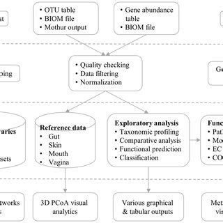 PDF MicrobiomeAnalyst A Web Based Tool For Comprehensive Statistical Visual And Meta
