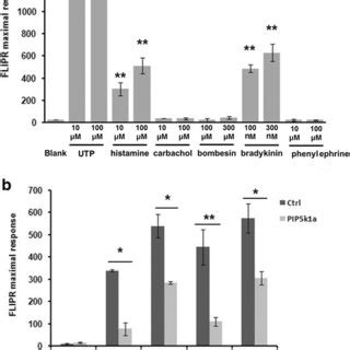 PIP5K1α regulates PIP2 mediated cytoplasmic calcium release a C2C12 Download Scientific