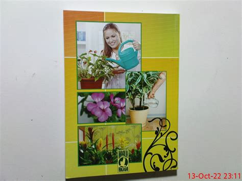 Kucno I Sobno Cvece 72666413