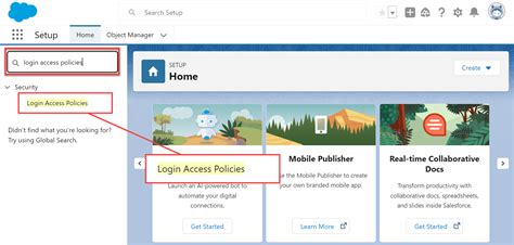 Control Login Access Policies In Salesforce Detailed Guide