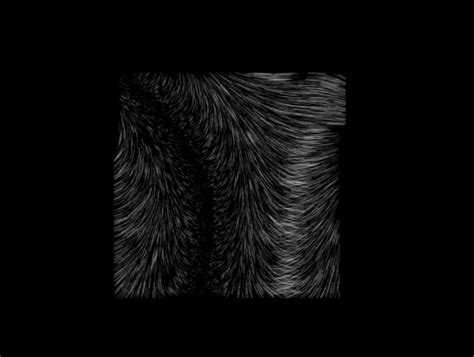 Html自动播放代码，逼真毛皮效果图 17素材网