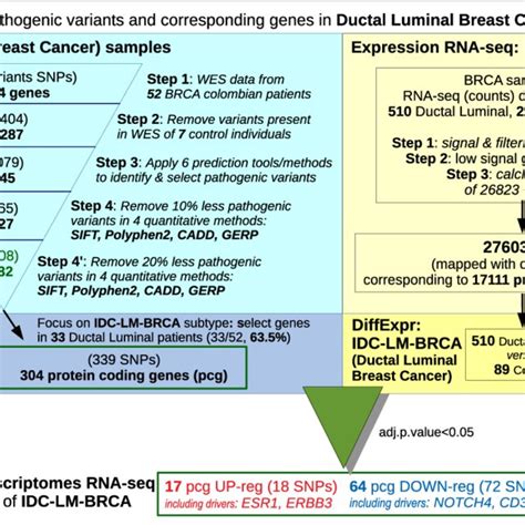 Workflow Of The Parallel Analysis Of Whole Exome Sequencing Wes