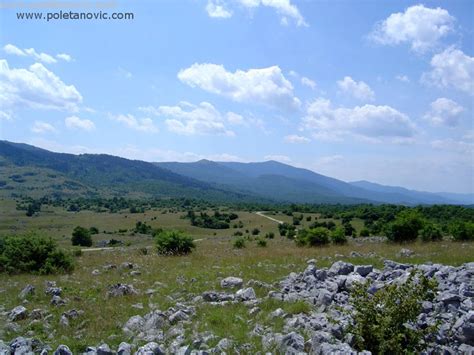 Слике Ђукића из Јула 2003