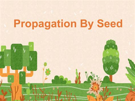 Propagation By Seed Explained Sexual Propagation Pptx