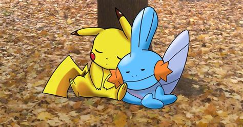Mudkip Backgrounds Group