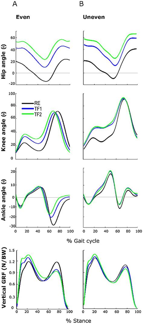 Ensemble Averaged Lower Limb Joint Kinematics During Gait Cycle And