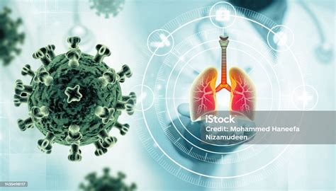 의사 팔은 인간의 폐를 지원합니다 폐 질환 진단 및 치료 바이러스 감염 3d 그림 보호에 대한 스톡 사진 및 기타 이미지 보호 폐 3차원 형태 Istock