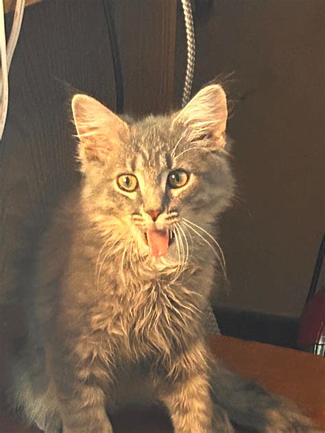 Caught Him In The Middle Of Yawning Scary Fella Rwitch