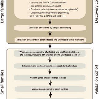 Variant Genes Are Replicated In Small Families And Highlight The Neural Download Scientific