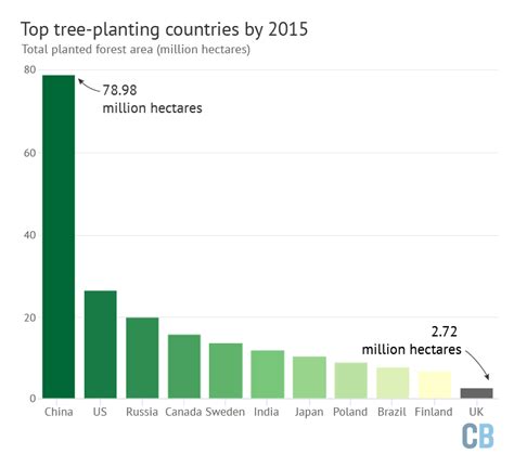 In Depth Q A How Will Tree Planting Help The UK Meet Its Climate Goals