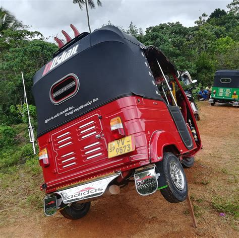 රතු කිරිල්ලි Galle