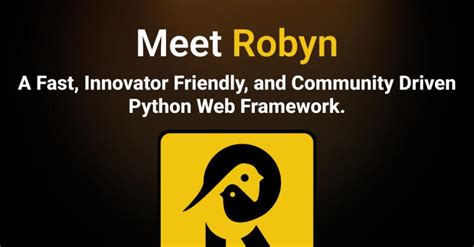 Robyn A Fast Innovator Friendly And Community Driven Python Web