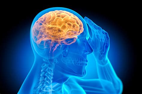 40 Facts About Myoneurogastrointestinal Encephalopathy