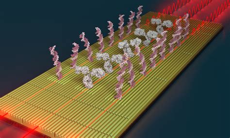 Optics And Photonics News Nanophotonic Biosensors Driving Personalized
