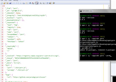 336 What Are Absolute File Paths In Packagejson Used For · Issue 10393 · Npmnpm · Github